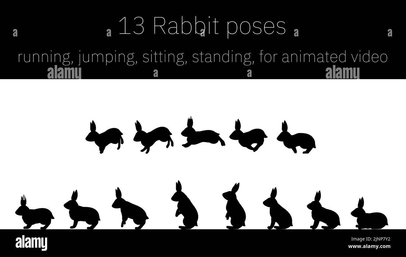 Rabbit movements for animation, running and jumping and standing up ...