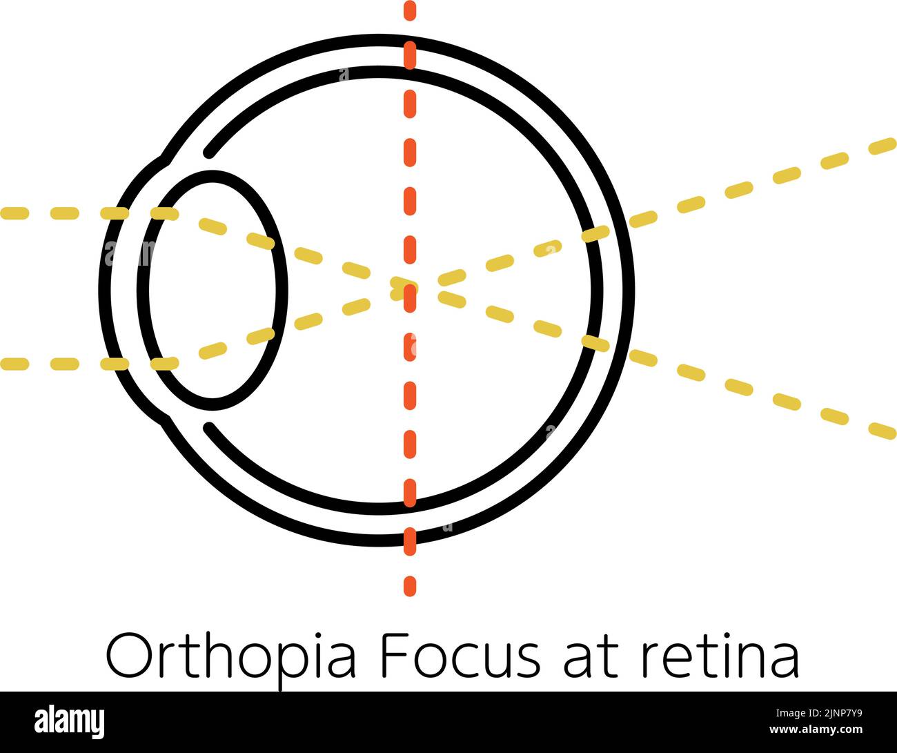 Lens refraction diagram hi-res stock photography and images - Alamy