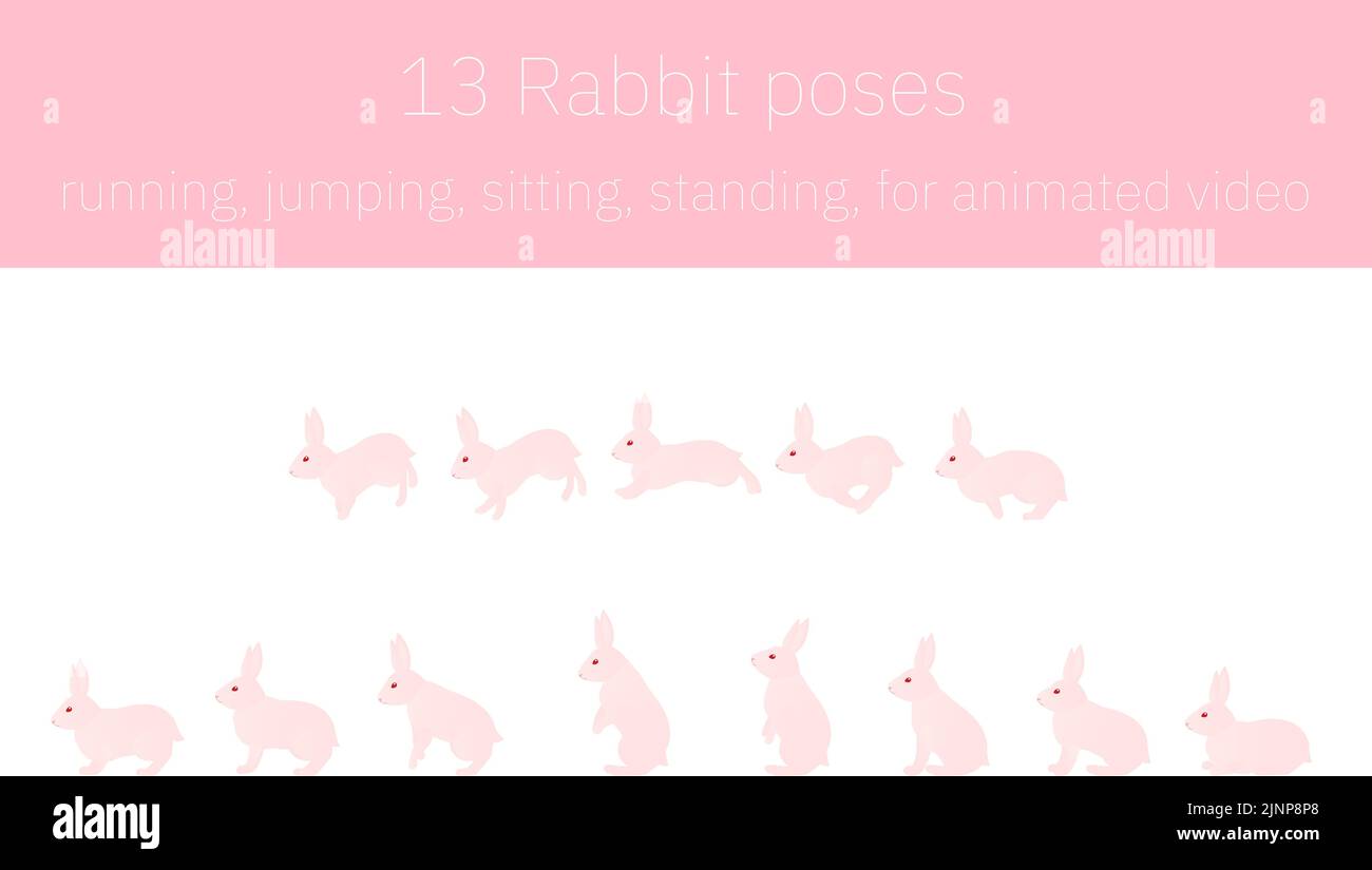 Rabbit movements for animation, running and jumping and standing up ...
