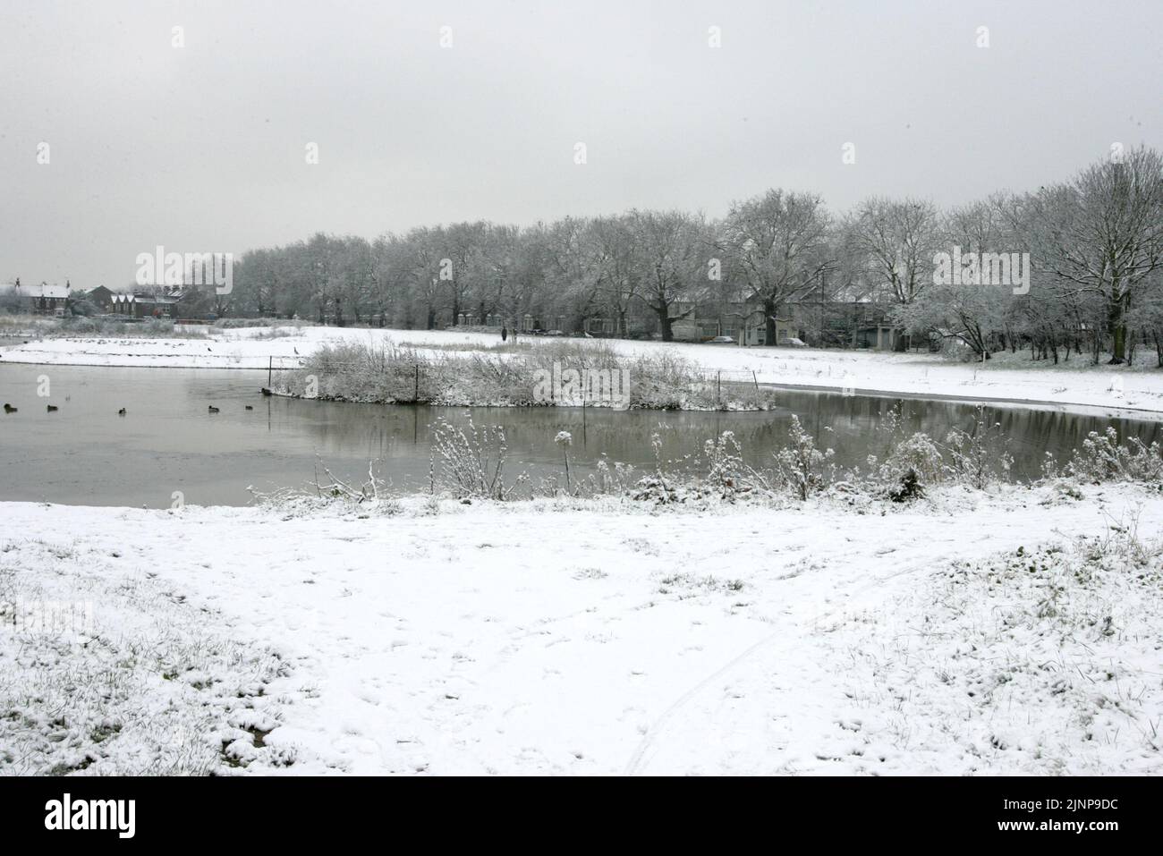 Snow landscape scene Stock Photo - Alamy