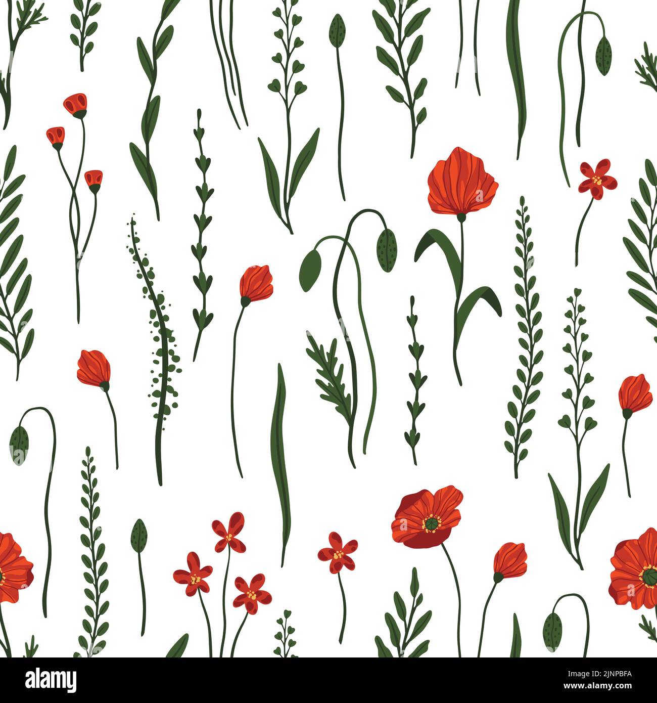 Seamless pattern with red poppy flowers. Design for packaging, label ...
