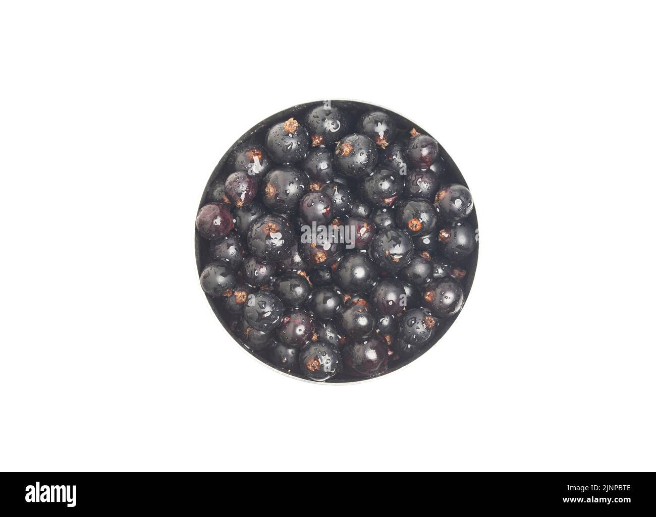 Close up view blackcurrant Cut Out Stock Images & Pictures - Alamy