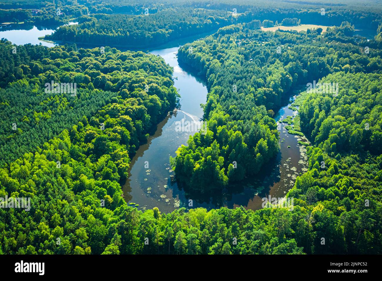 River and forests in summer. Aerial view of wildlife in Poland, Europe ...