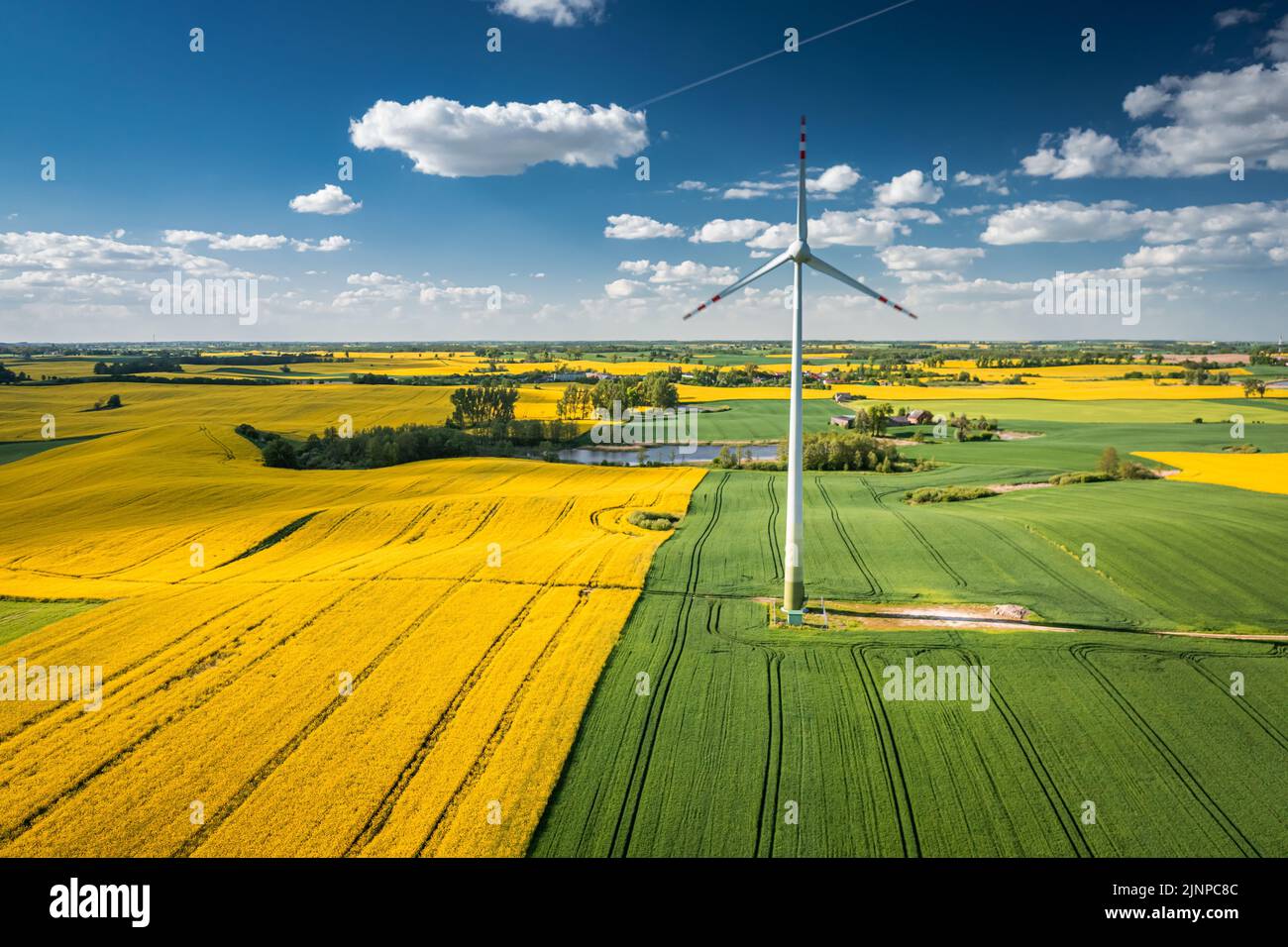 Amazing wind turbine and field of rapeseed. Poland agriculture. Aerial ...