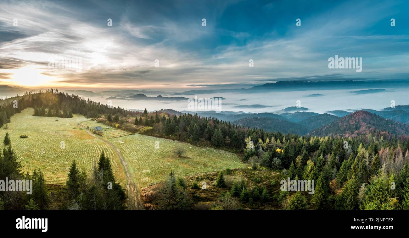 Luban tree hi-res stock photography and images - Alamy