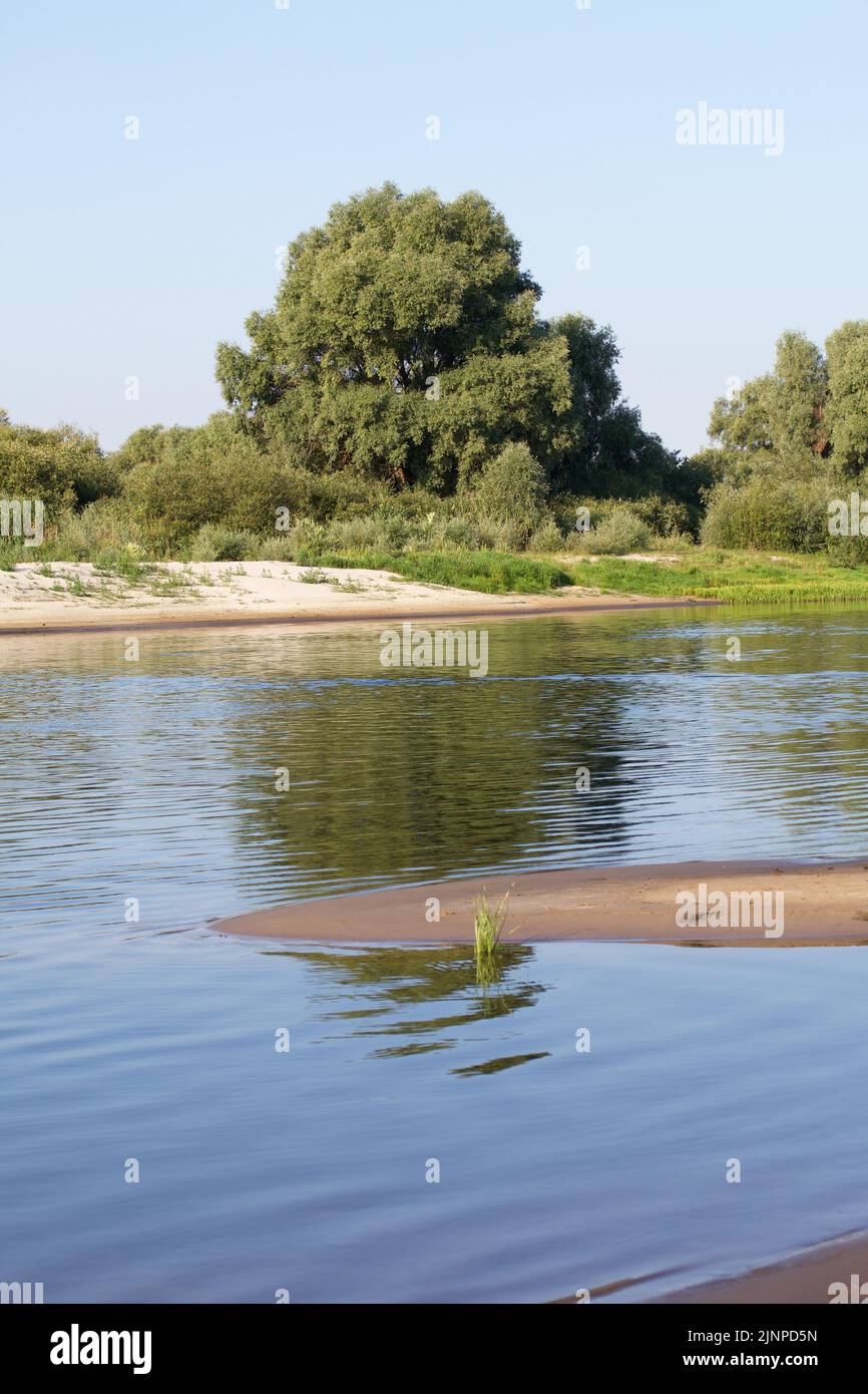 River flows. Both banks are visible with vegetation. The Pripyat River ...