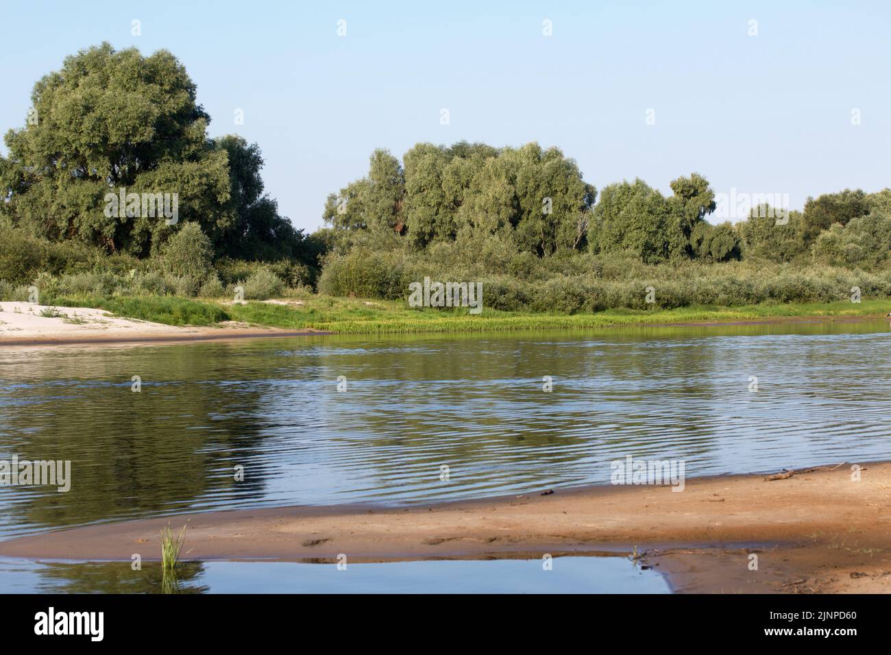 River flows. Both banks are visible with vegetation. The Pripyat River ...