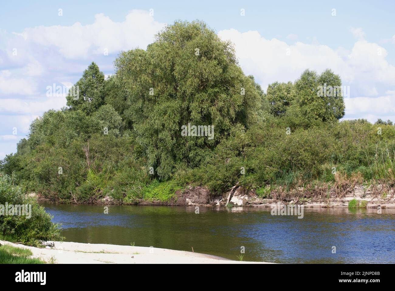 River flows. Both banks are visible with vegetation. The Pripyat River ...