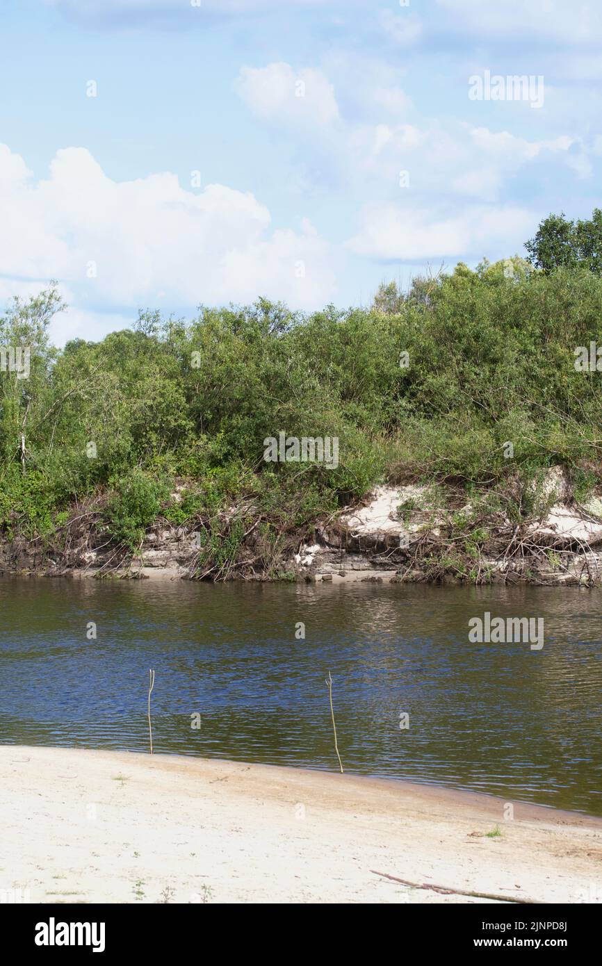 River flows. Both banks are visible with vegetation. The Pripyat River ...