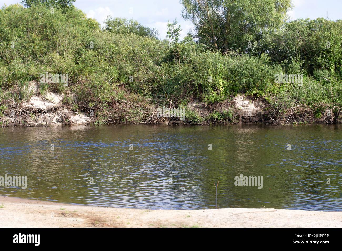 River flows. Both banks are visible with vegetation. The Pripyat River ...