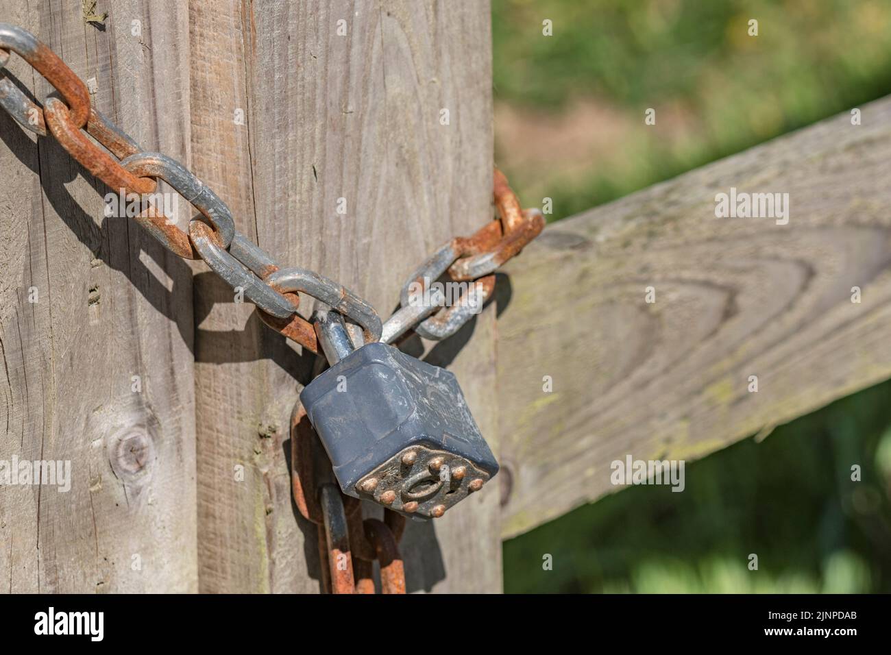 Squire key-opened padlock & chain securing a wooden farm gate. For ...