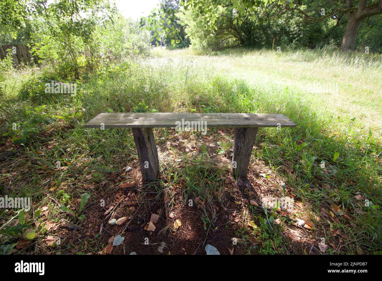 Wooden bench in the shade of trees. A bench for rest in the village ...