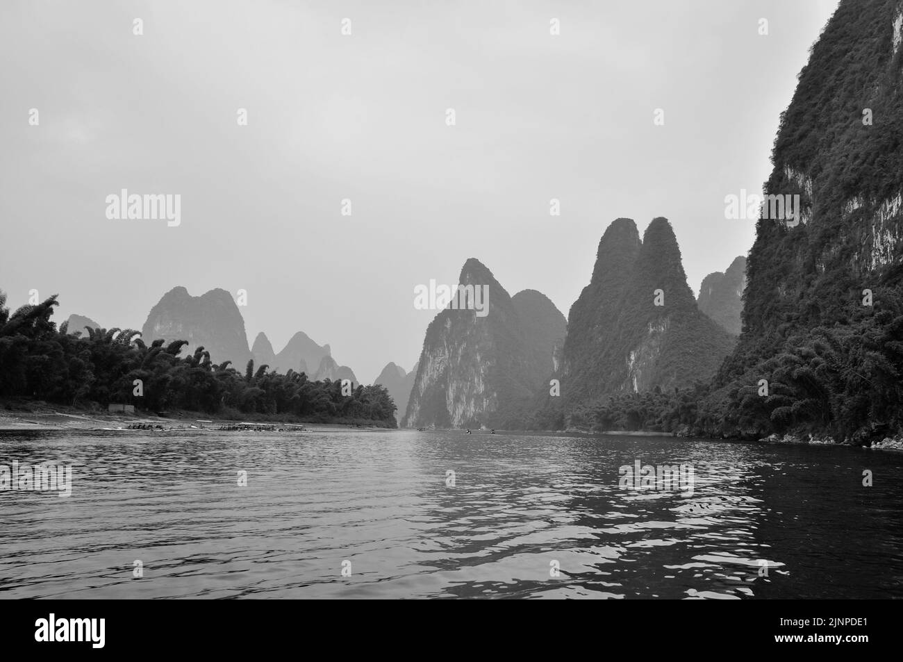 Breathtaking plants Black and White Stock Photos & Images - Alamy