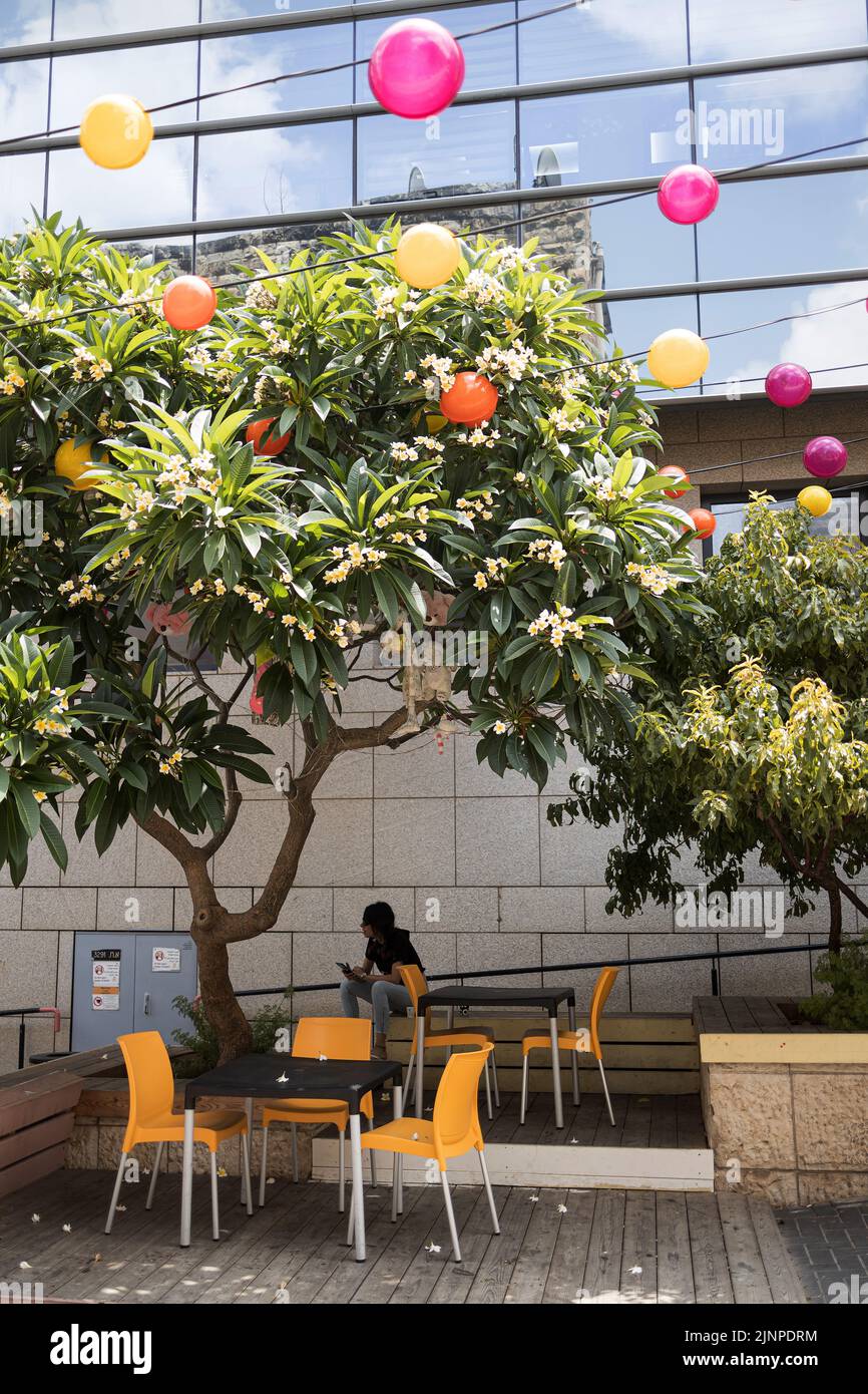 Plumberia hi-res stock photography and images - Alamy