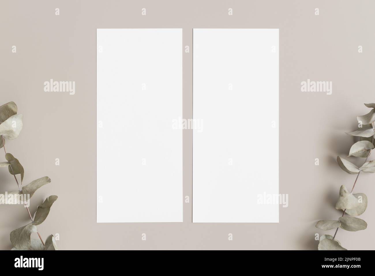 Two menu cards mockup with a eucalyptus grass deocoration, 4x9 ratio ...