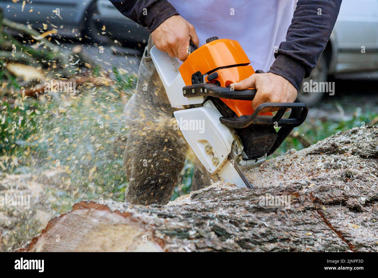 In the aftermath of a hurricane, a tree fell in the broke a tree with a ...