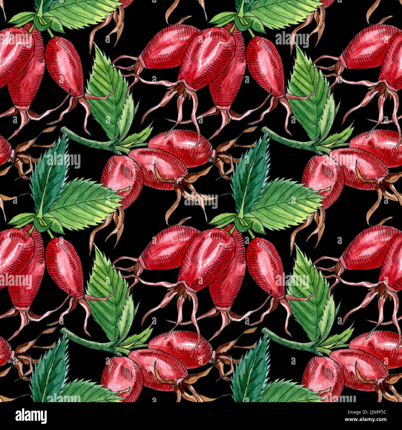 Floral seamless pattern with pink wild rose, rose hip, dog rose, green ...