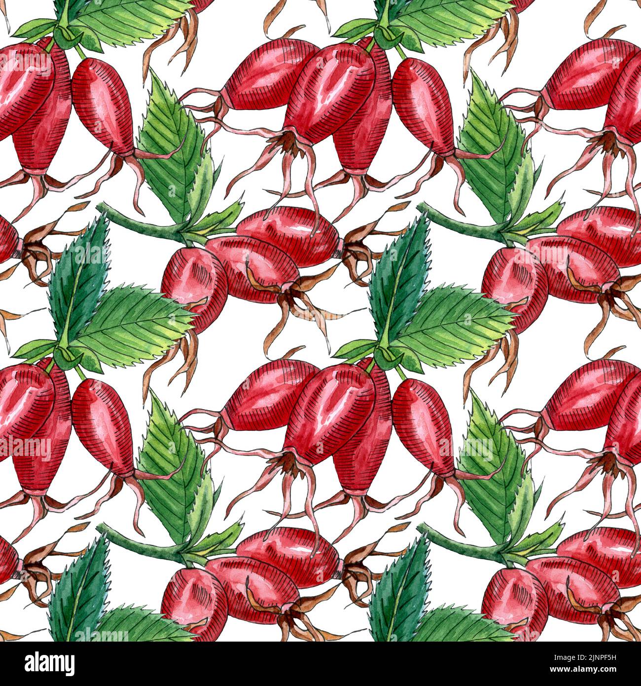 Floral seamless pattern with pink wild rose, rose hip, dog rose, green ...