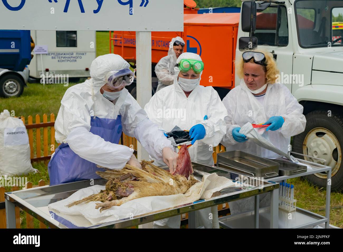 Dead turkey hi-res stock photography and images - Alamy
