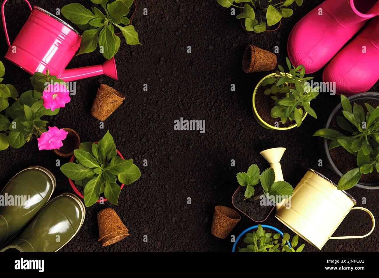 Composition gardening tools plants flowers in pots on soil Stock Photo ...