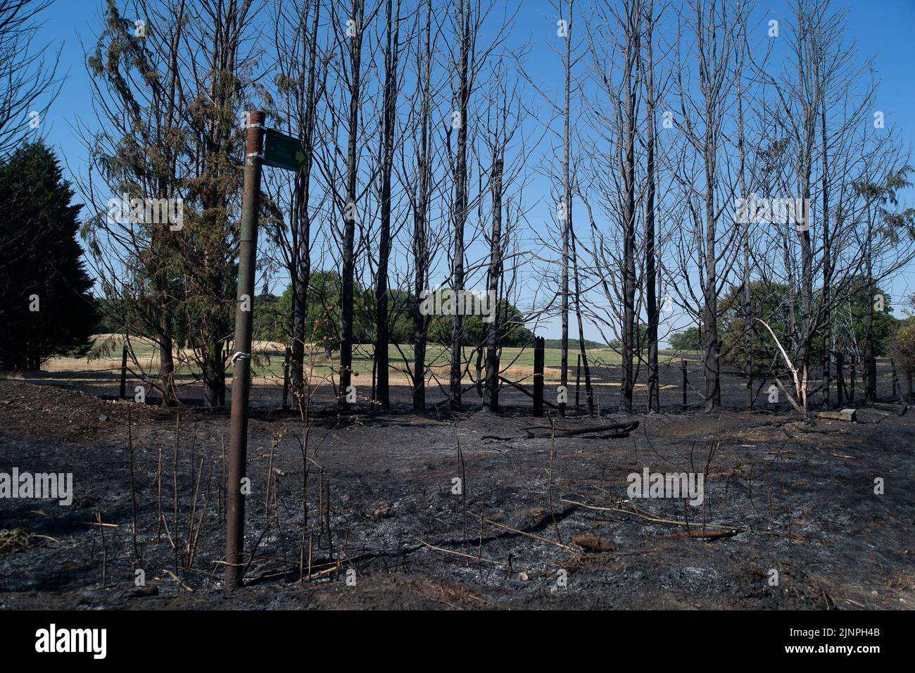 Hedgerley, Buckinghamshire, UK. 13th August, 2022. Firefighters from ...