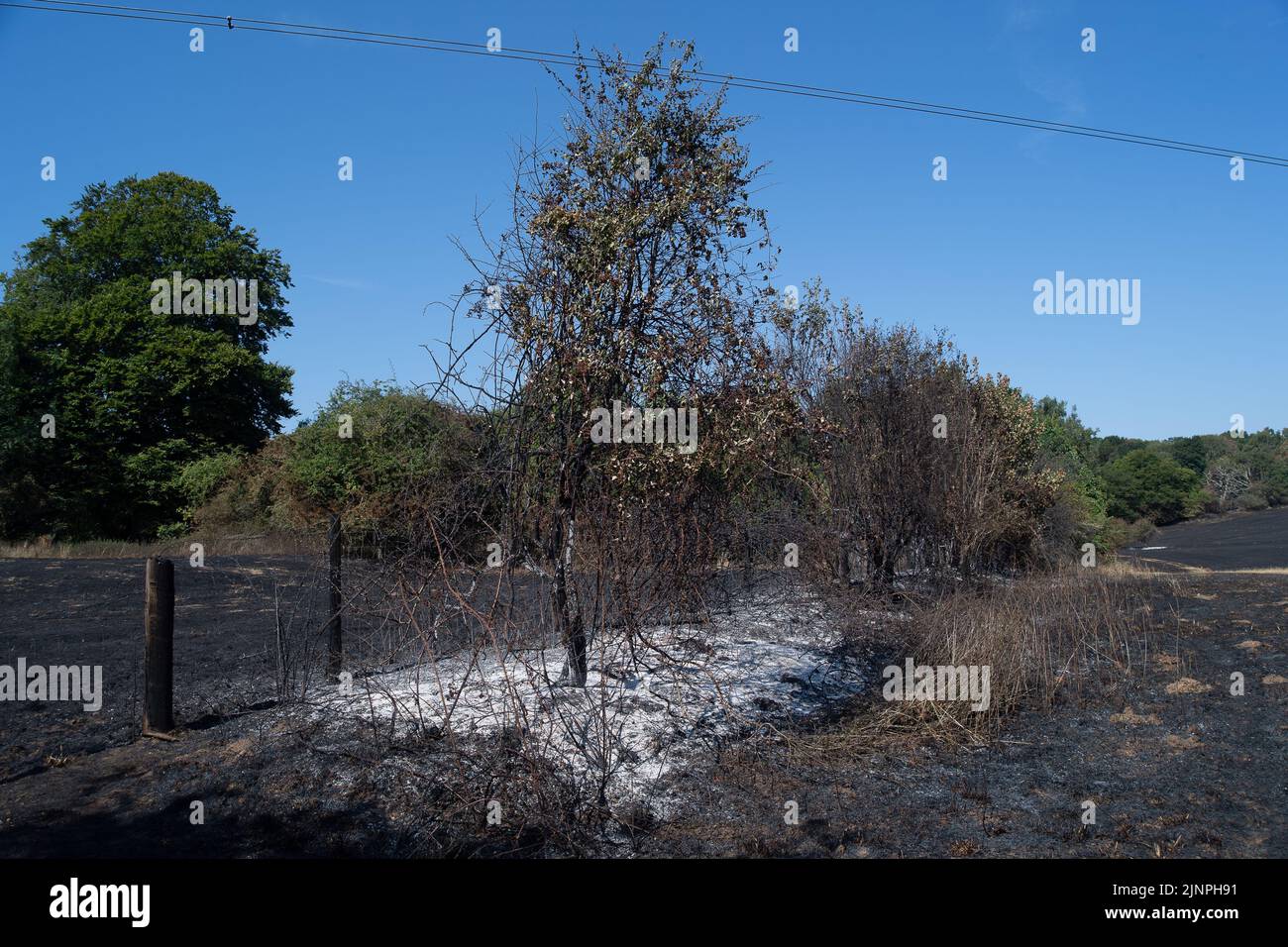 Hedgerley, Buckinghamshire, UK. 13th August, 2022. Firefighters from ...