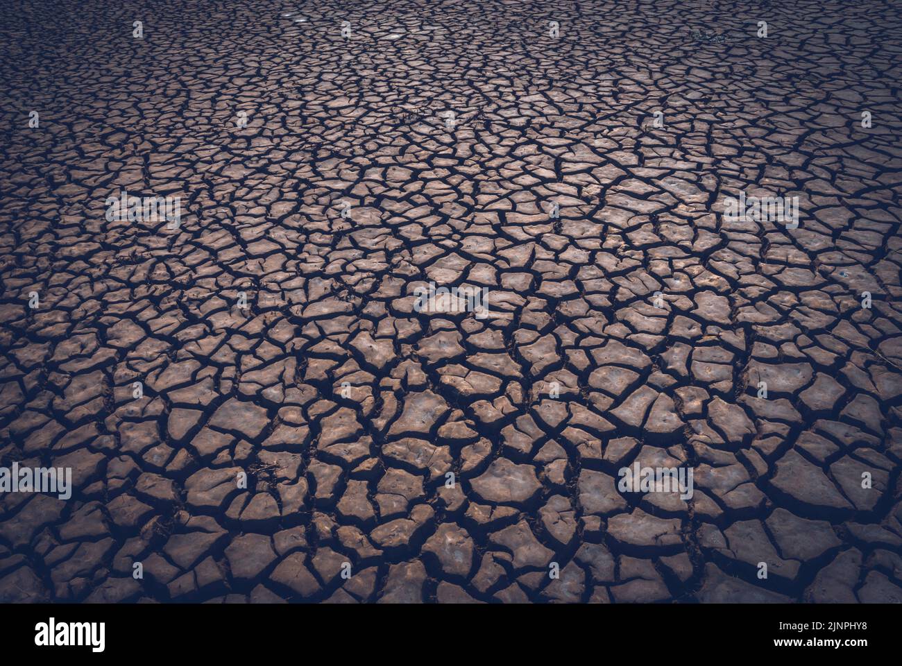 Cracked soil texture in the desert, La pampa Province, Patagonia ...