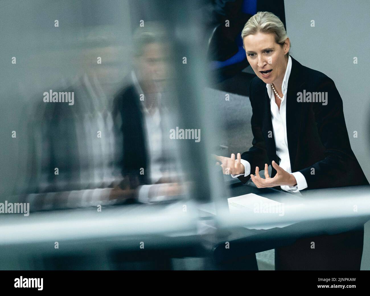 Alice Weidel, AfD parliamentary group leader, recorded during the ...