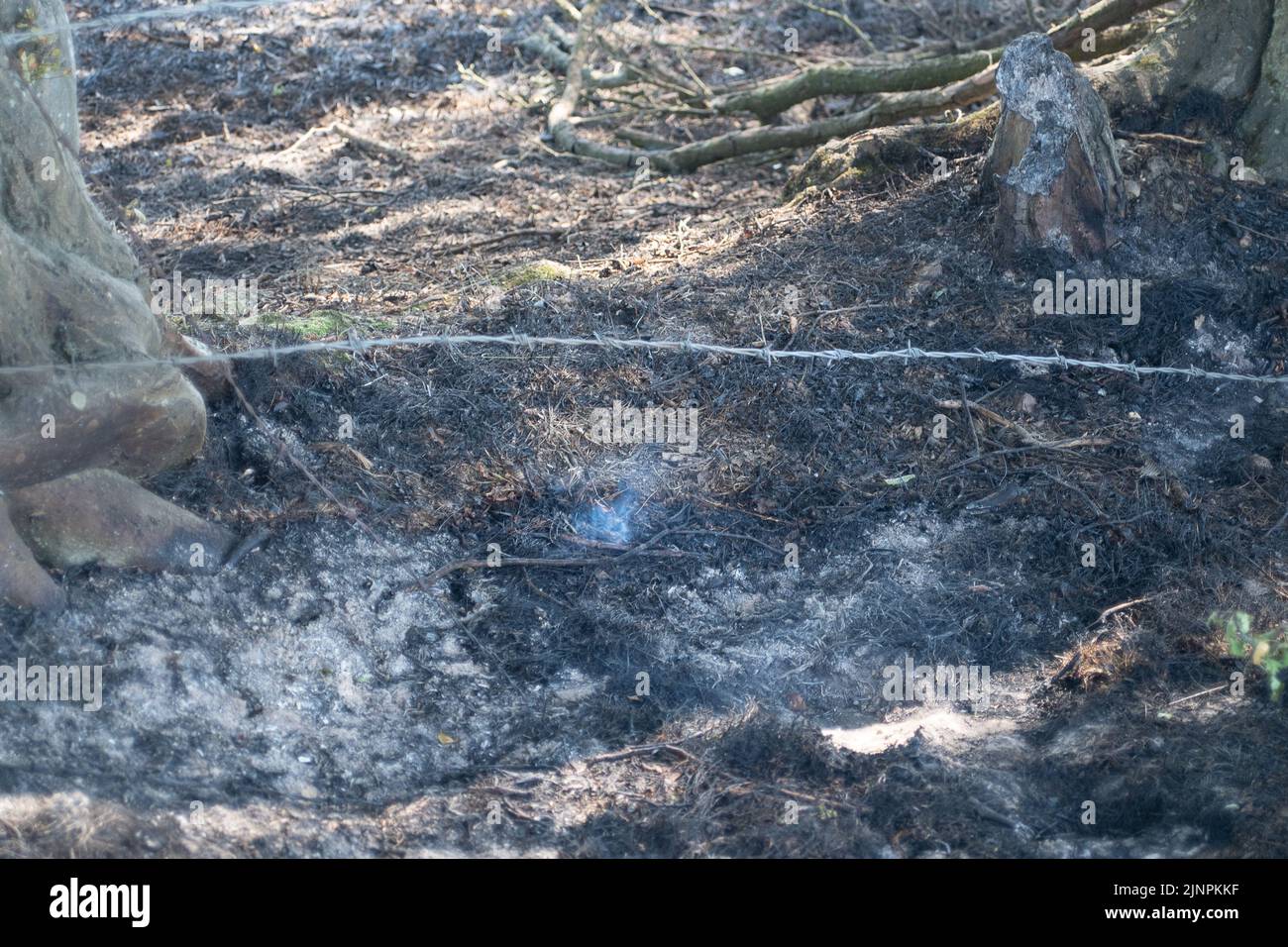 Hedgerley, Buckinghamshire, UK. 13th August, 2022. Firefighters from ...
