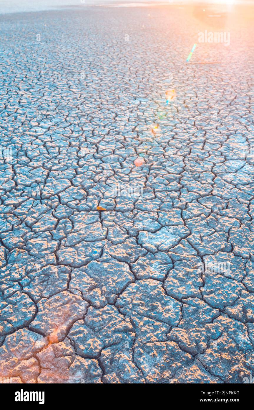 Cracked soil texture in the desert, La pampa Province, Patagonia ...