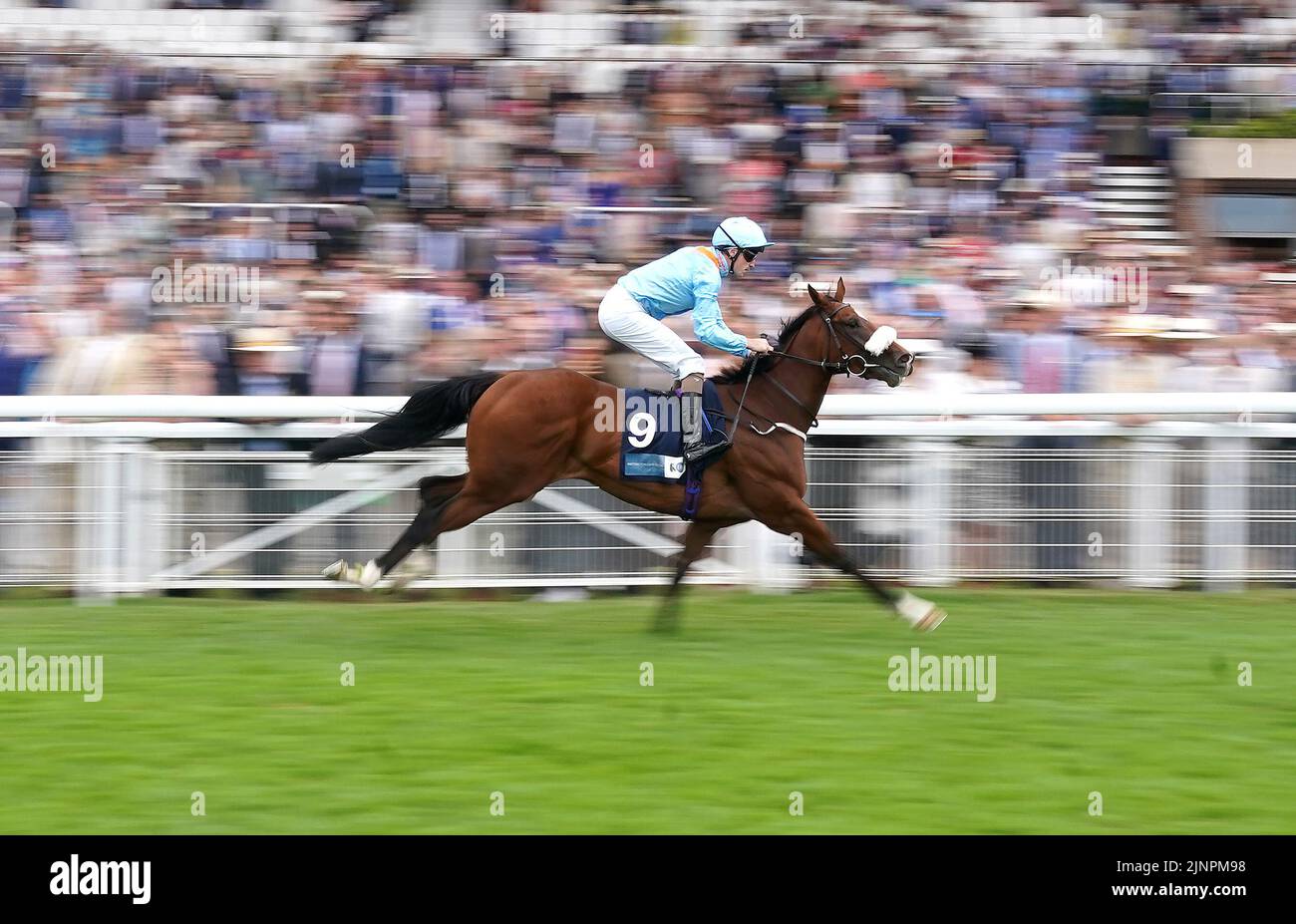 The platinum queen horse york hi-res stock photography and images - Alamy