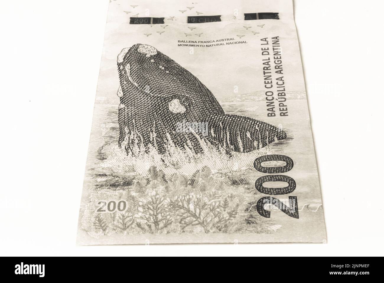 Argentine devaluation hi-res stock photography and images - Alamy