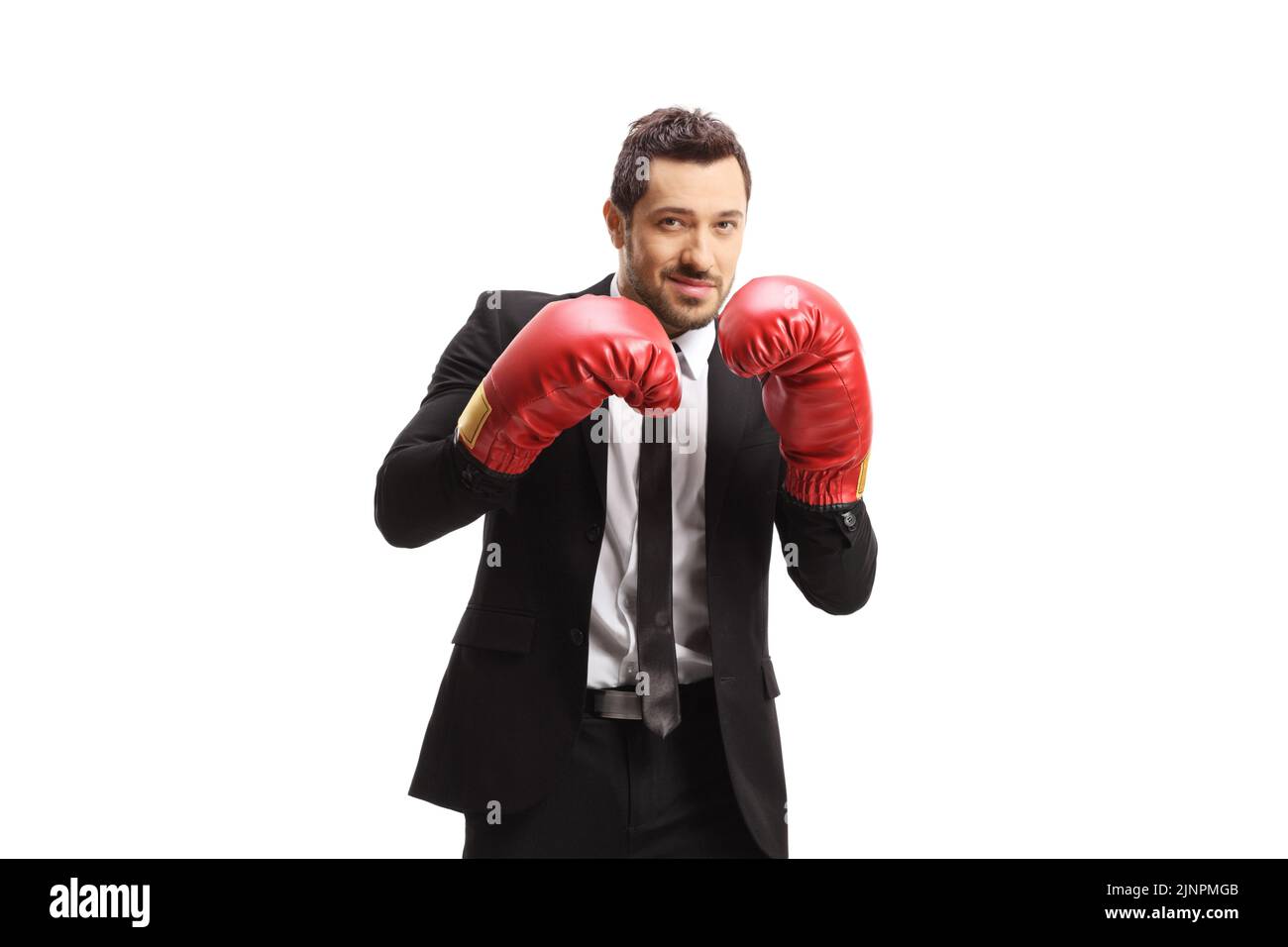 Man in a suit and tie wearing boxing gloves isolated on white ...