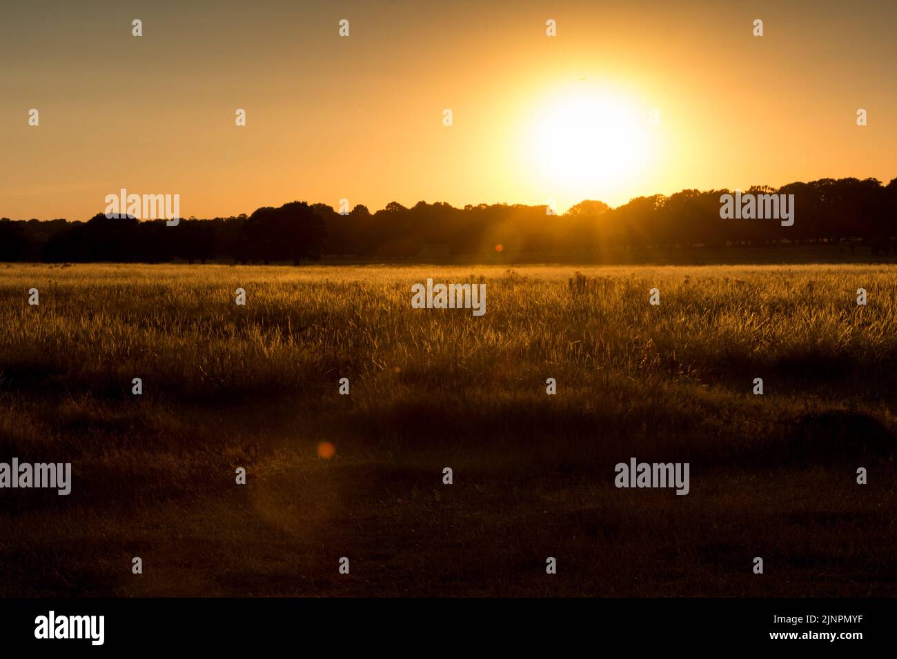 A setting sun casts its last beams across a drought stricken Richmond ...