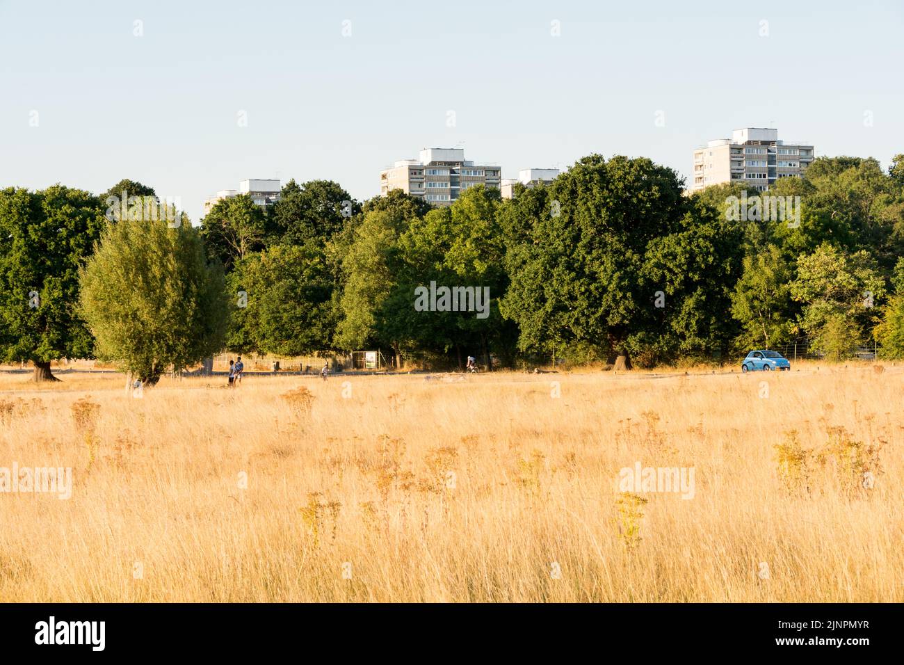 The Alton Estate in Roehampton as seen from a scorched and drought ...