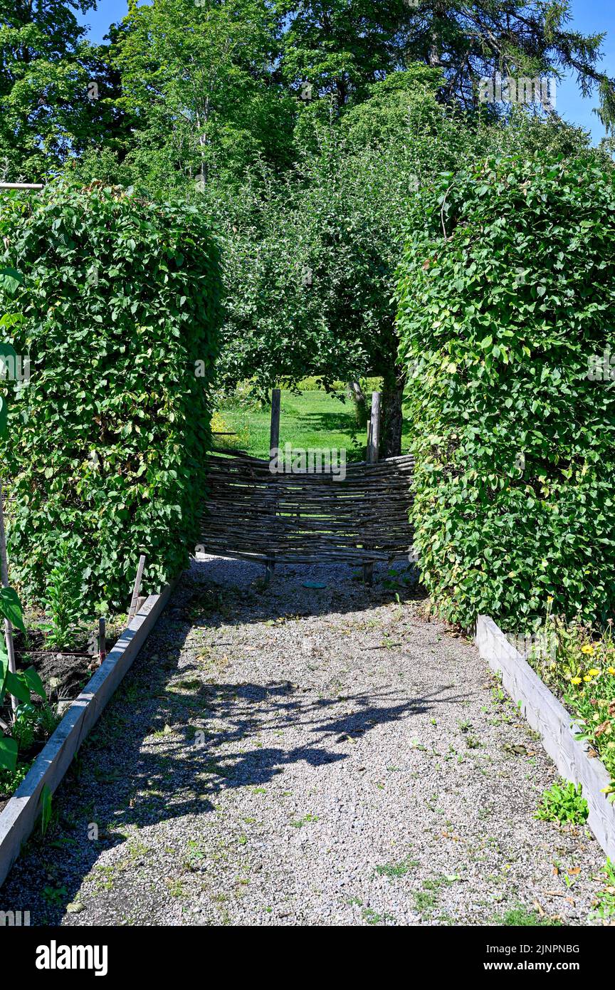 gravel path to fence and hedge in public garden Stock Photo - Alamy