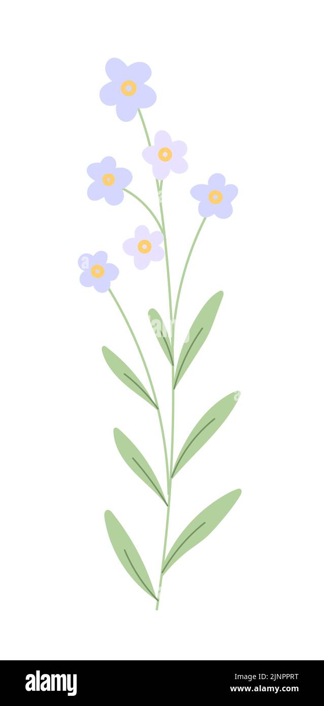 Flower with blooming bud vector Stock Vector Image & Art - Alamy