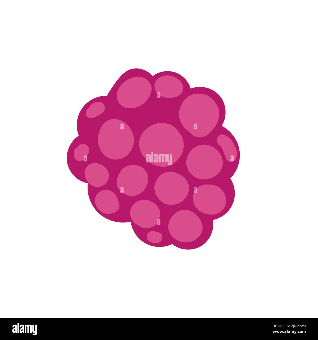 Raspberry on white background vector illustration Stock Vector Image ...