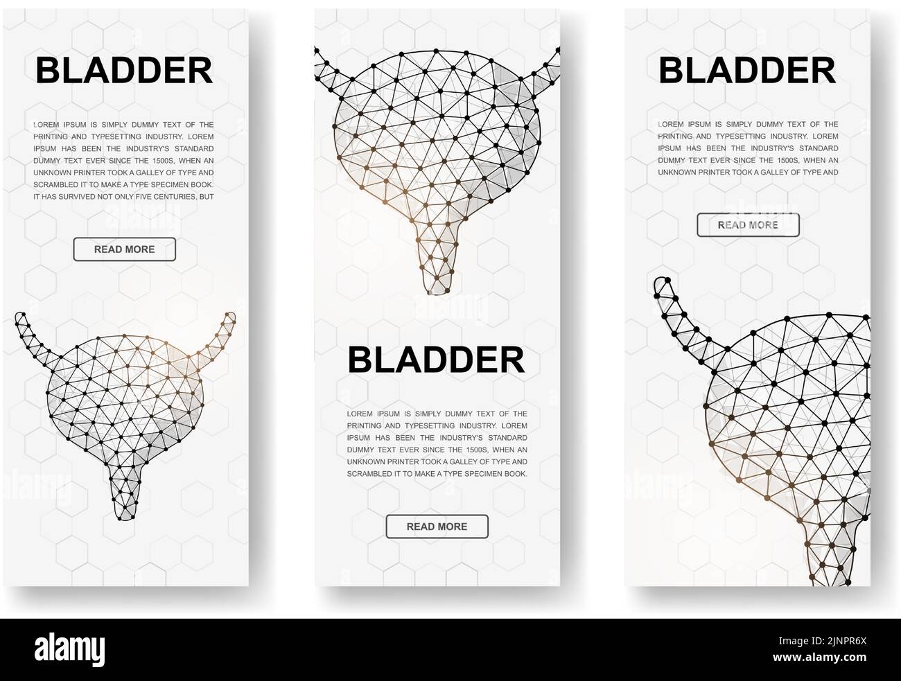 Set of three Bladder polygonal vertical banners. 3d Organ anatomy low ...