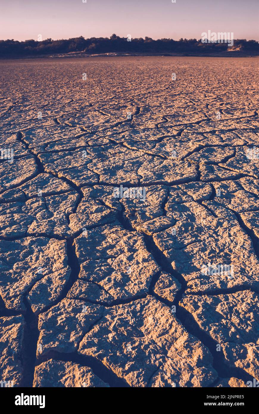 Cracked soil texture in the desert, La pampa Province, Patagonia ...