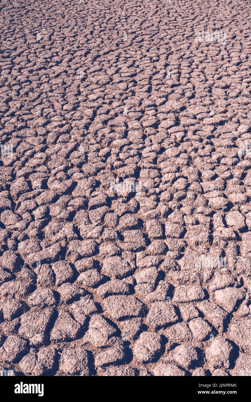 Cracked soil texture in the desert, La pampa Province, Patagonia ...