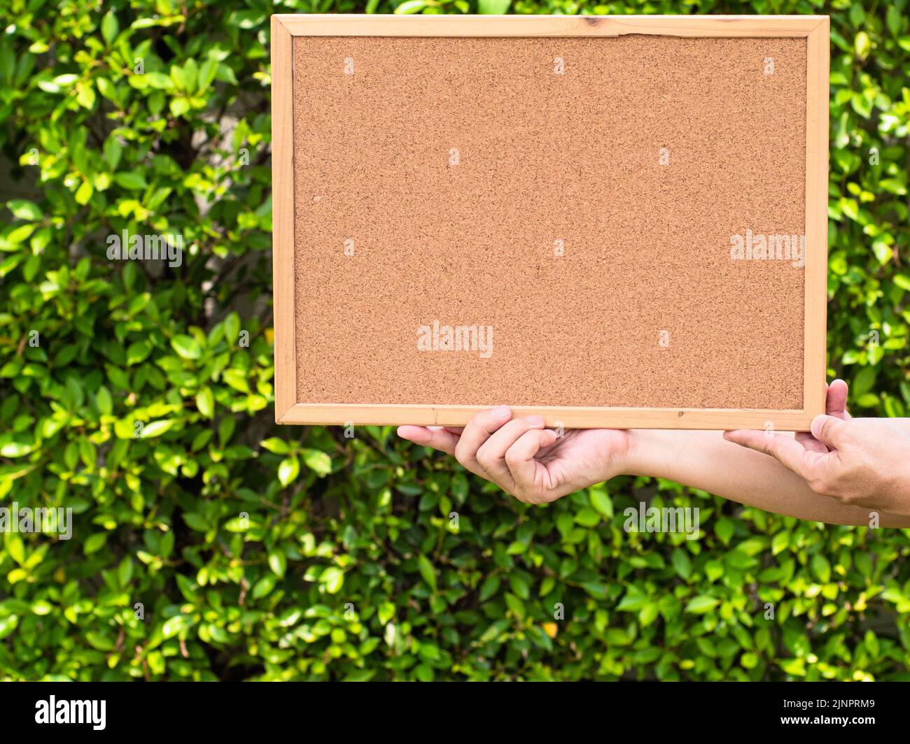 blank cork message pin board mock up object for communication Stock ...