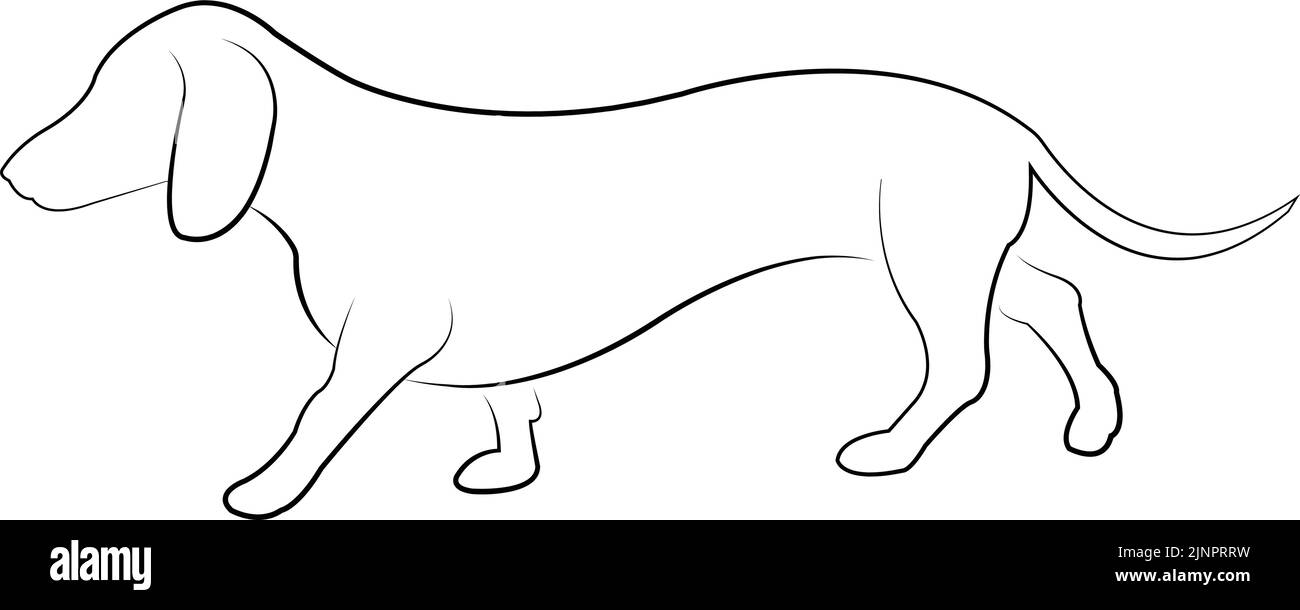 dachshund dog walk, side view line art - vector Stock Vector Image ...