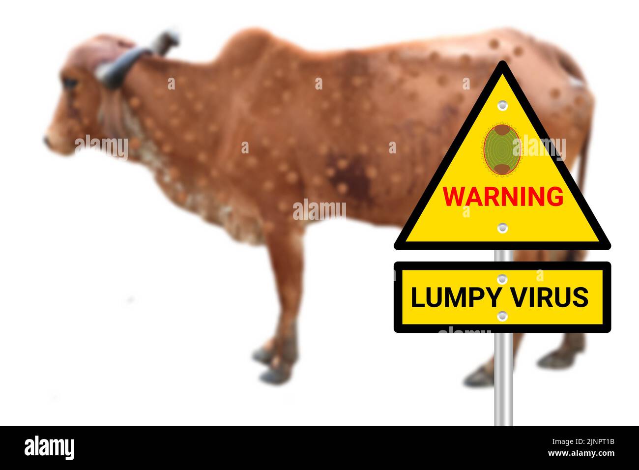 lumpy virus warning sign board on blur sky background. health care ...