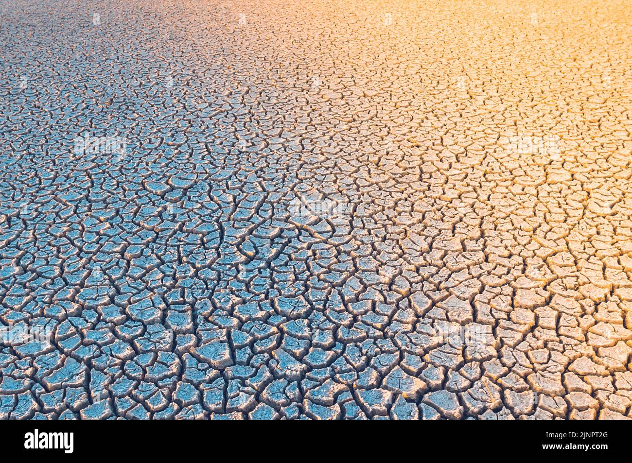 Cracked soil texture in the desert, La pampa Province, Patagonia ...