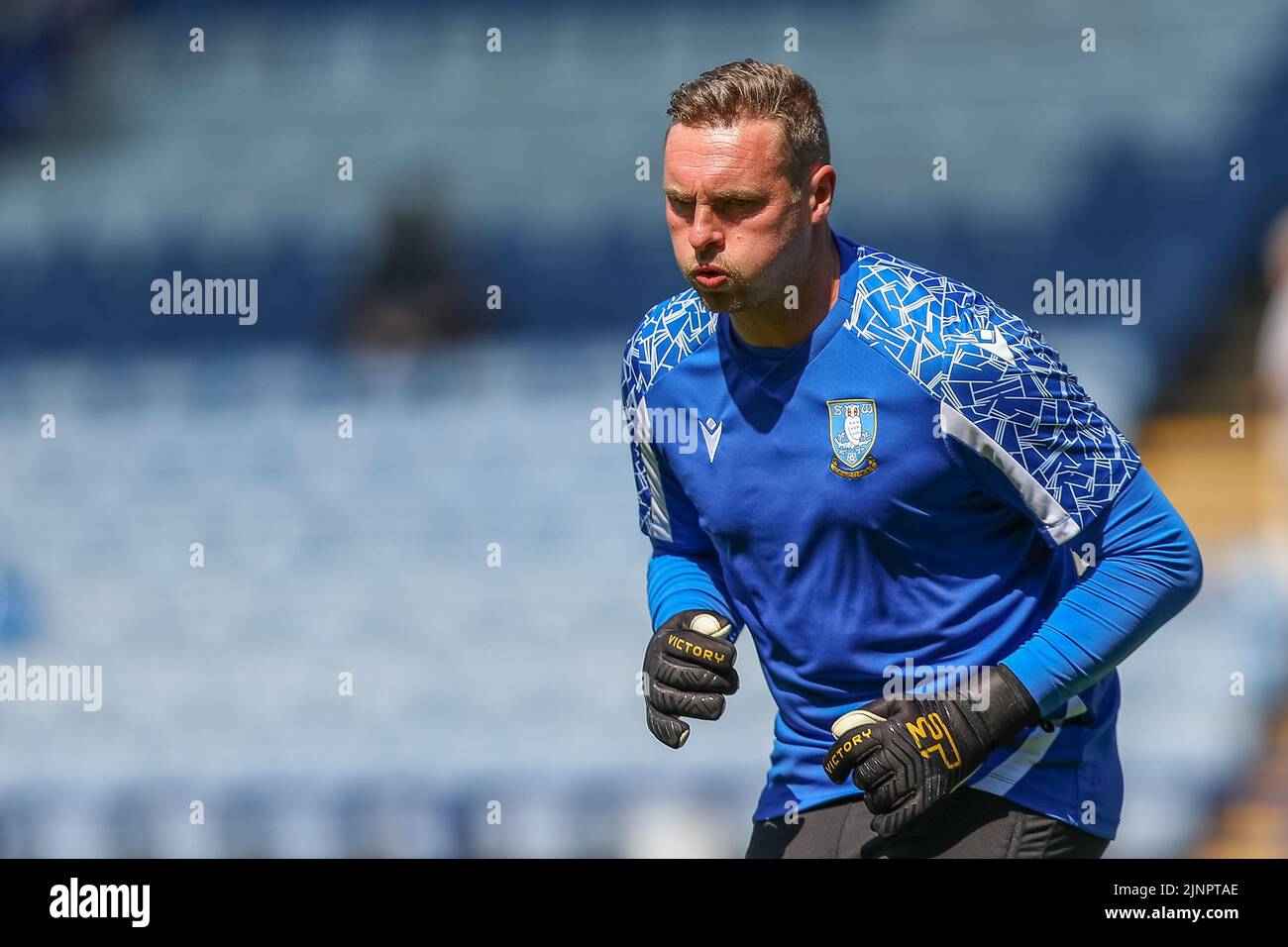 David Stockdale #31 of Sheffield Wednesday warms up ahead of kick off ...