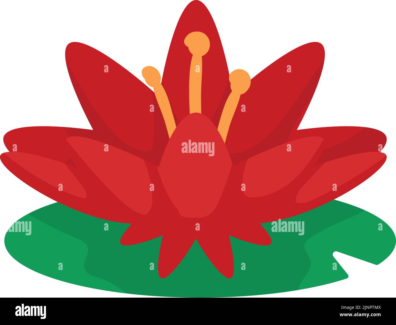 red lotus flower Stock Vector Image & Art - Alamy