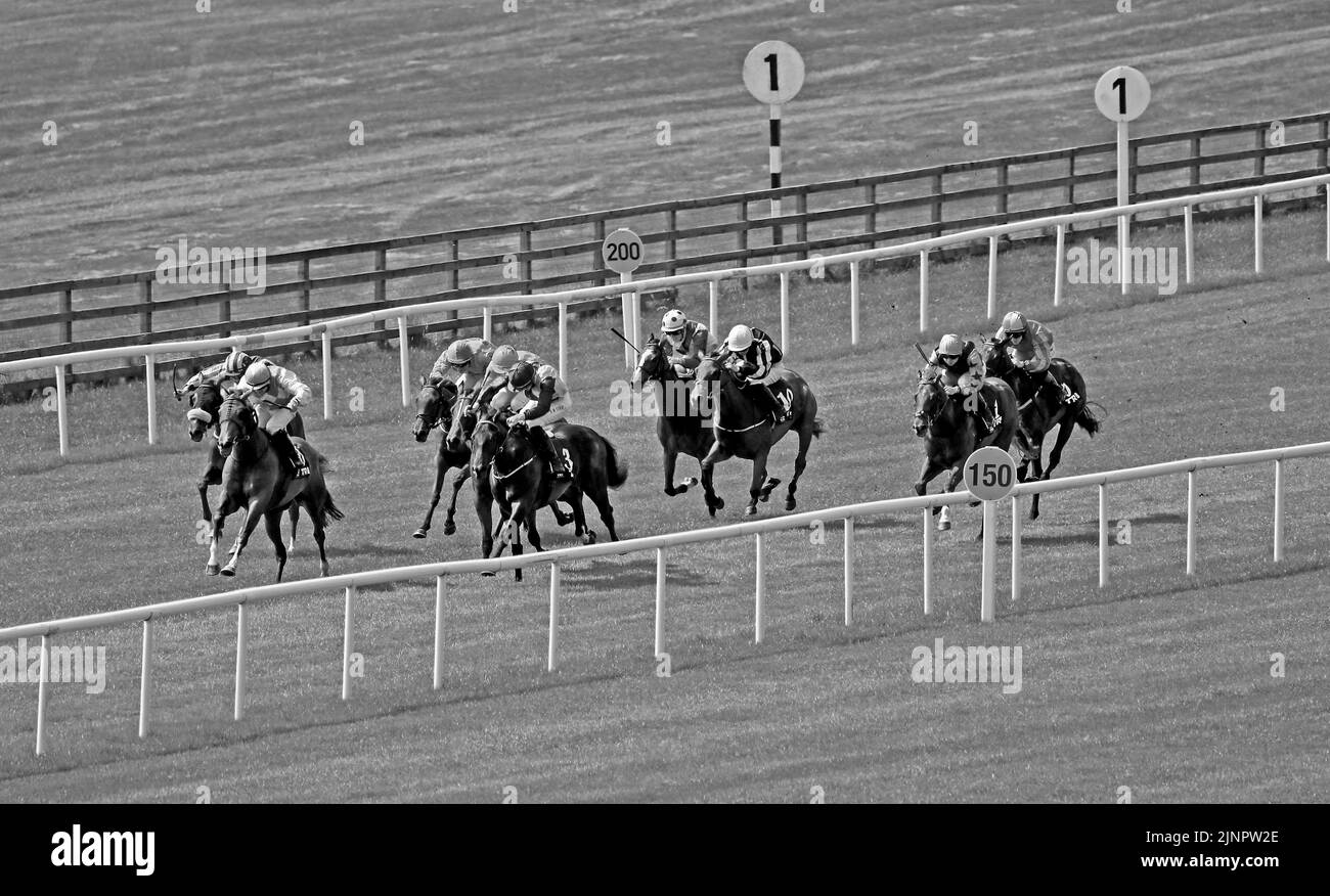 Horse racing curragh racecourse Black and White Stock Photos & Images ...