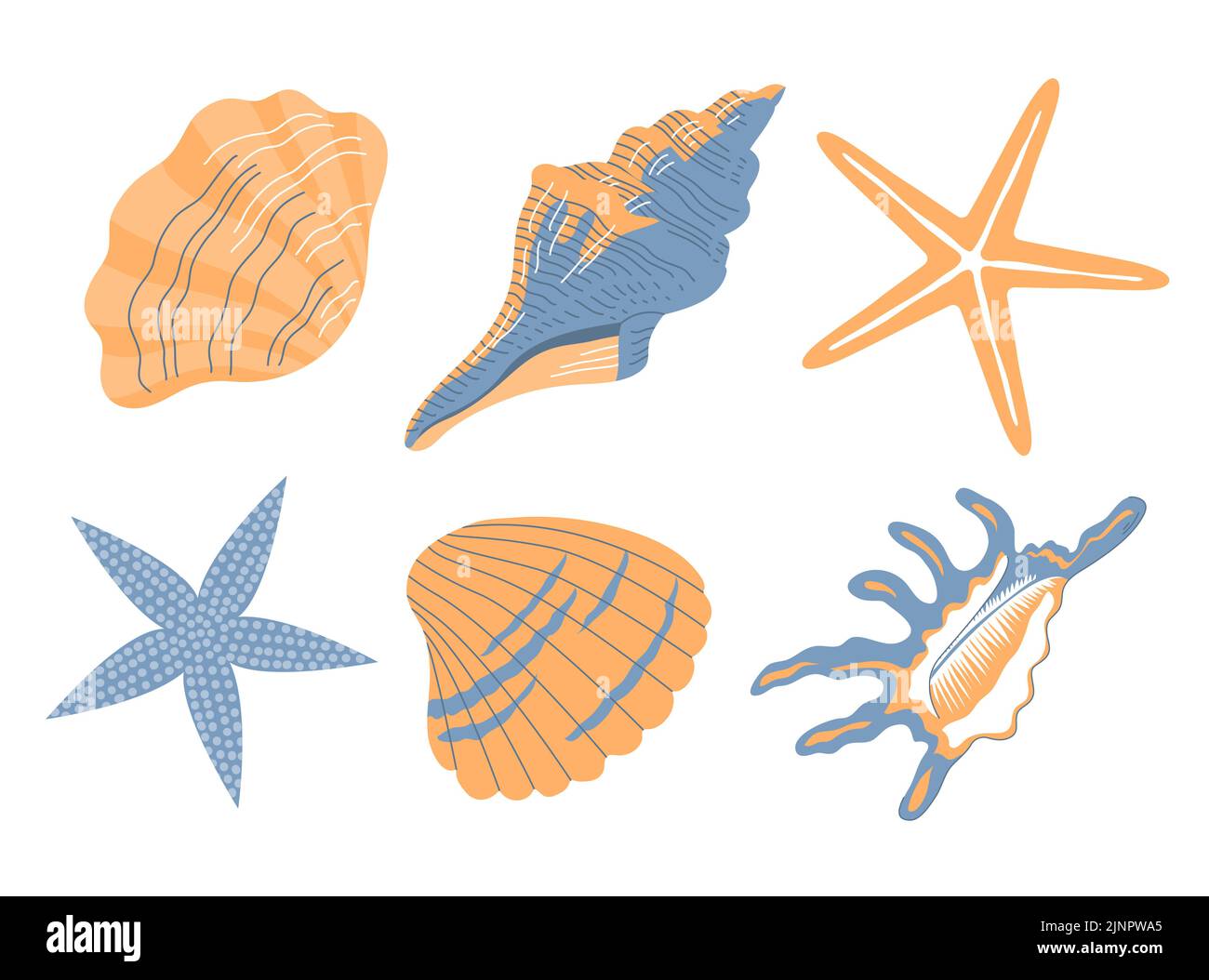 Seashells set. Snail sea shell and starfish. Marine underwater twisted ...
