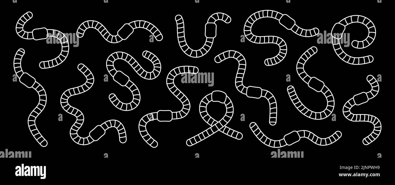 Curled earthworms outline set. Invertebrate crawling worms line banner ...